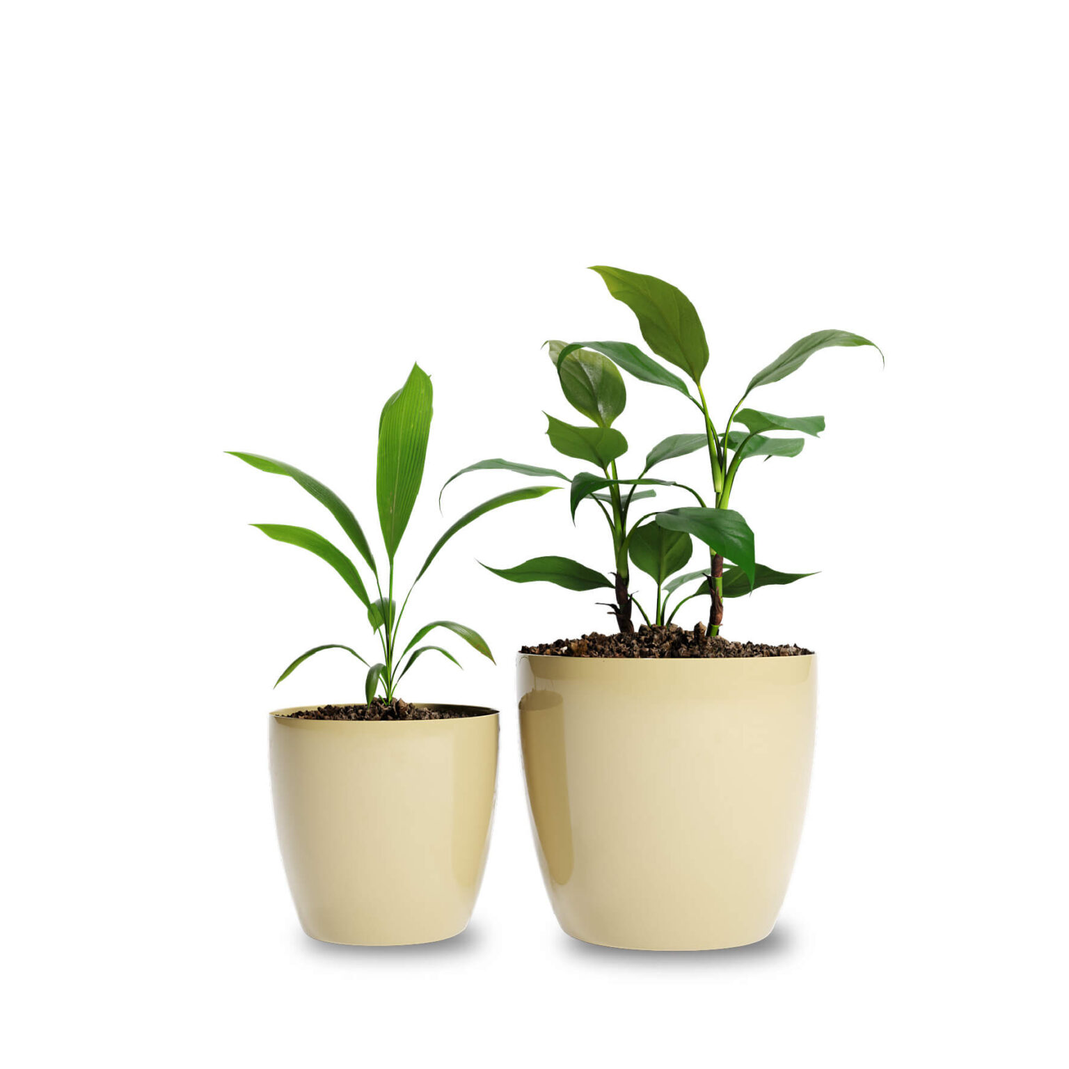 Macetas y reposeras de plastico rotomoldeado, somos fabrica